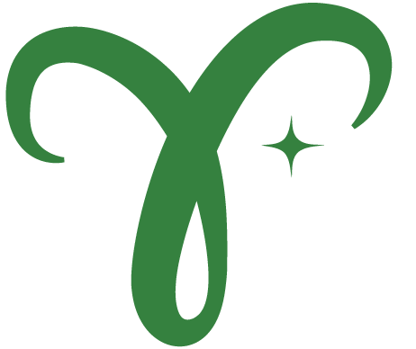 Hyperledger Aries Passport Identity Wallet